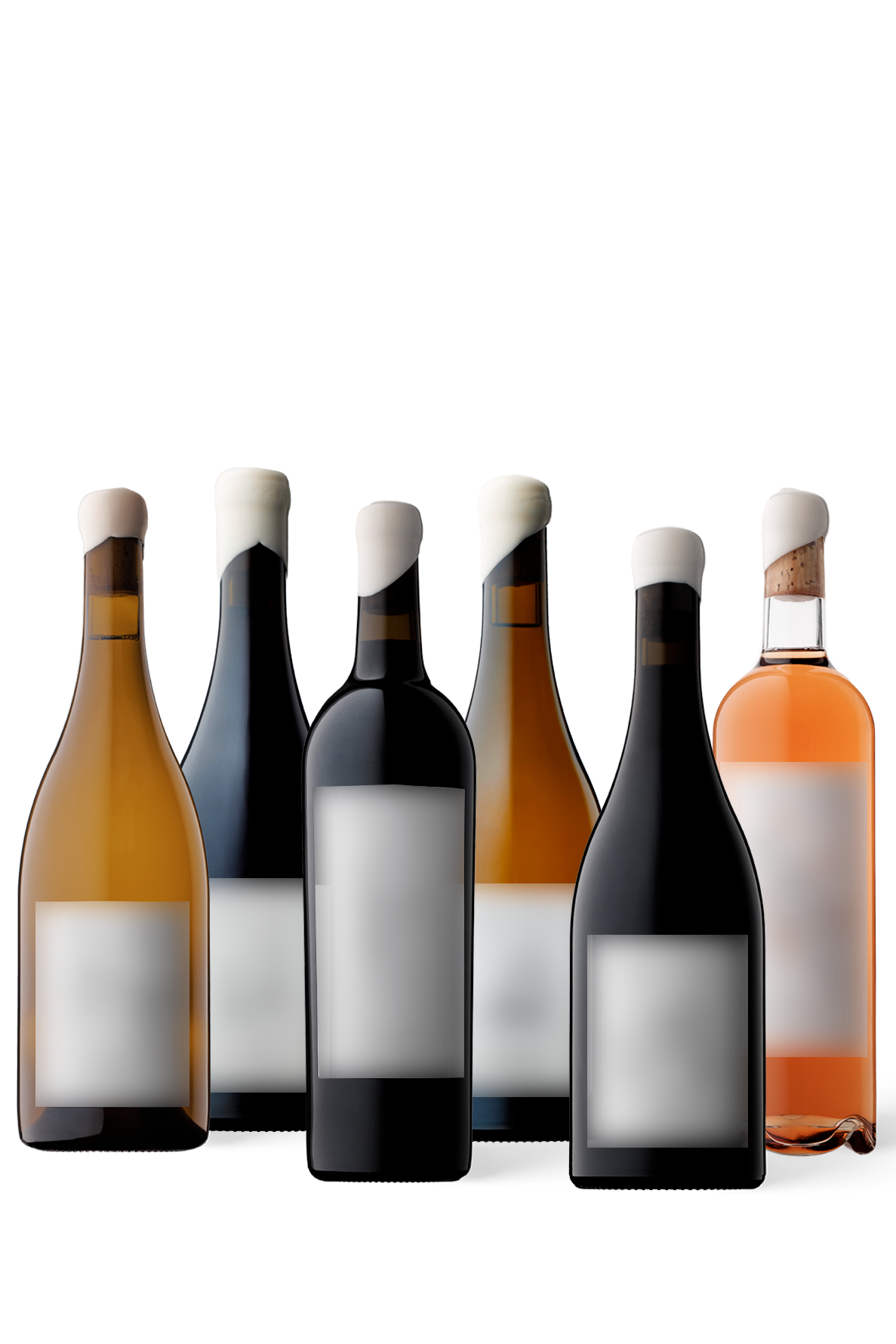 Vineyards Choice – Aasha Wines
